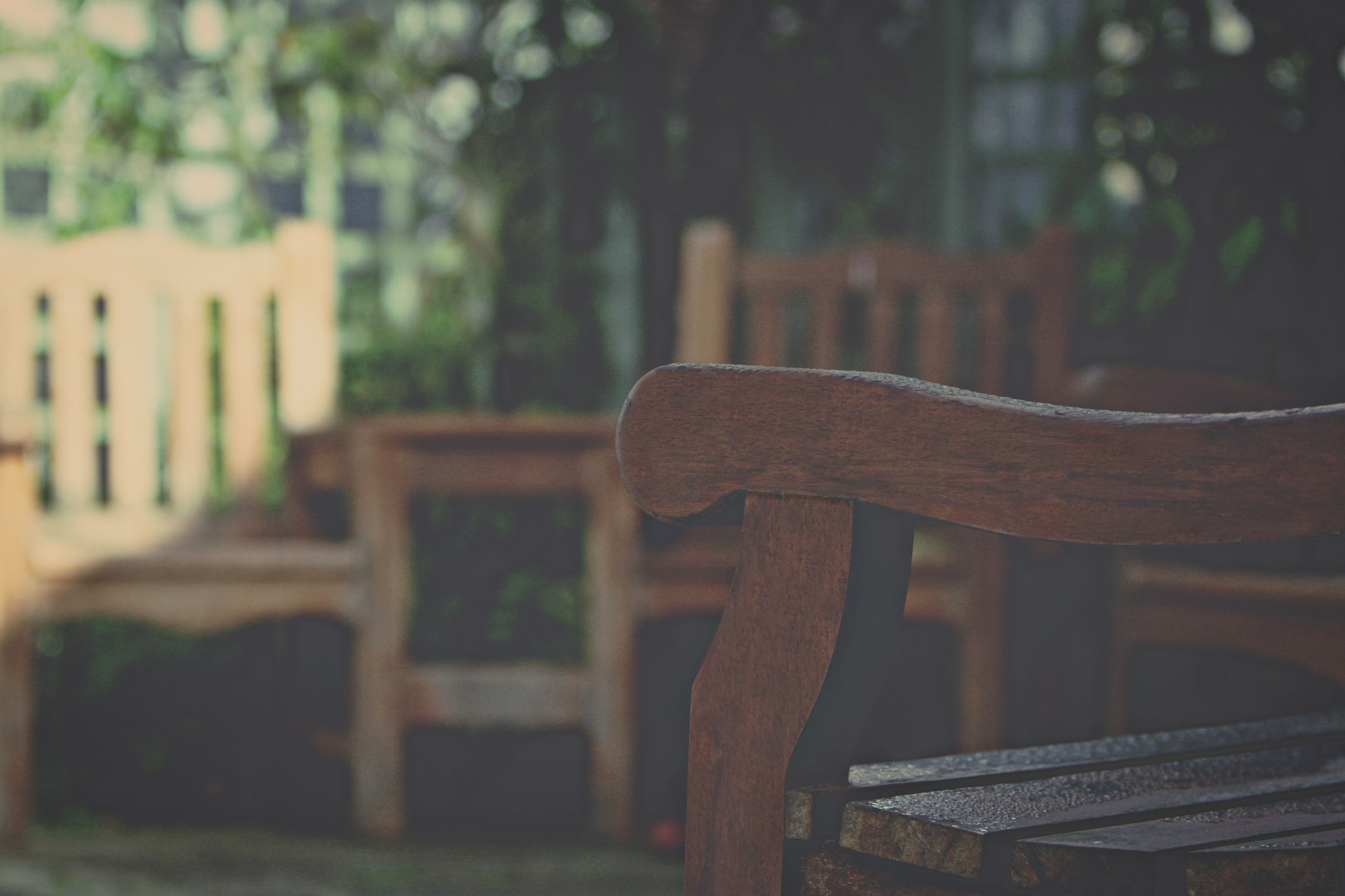 Home | Springfield Court Nursing Home