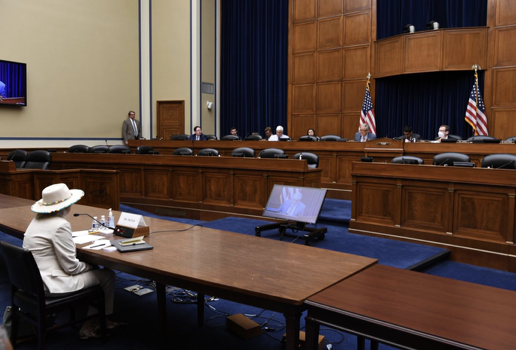 Kara Brewer Boyd speaking on behalf of farmers before a congressional ...