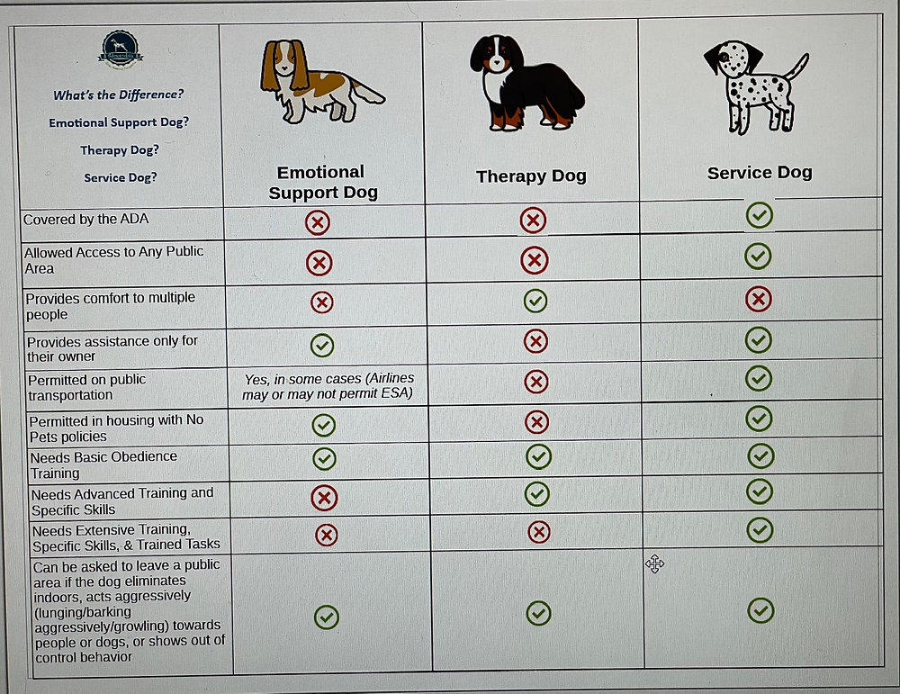 What's The Difference?