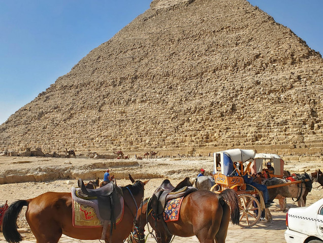 Membership Benefits | Central Lions