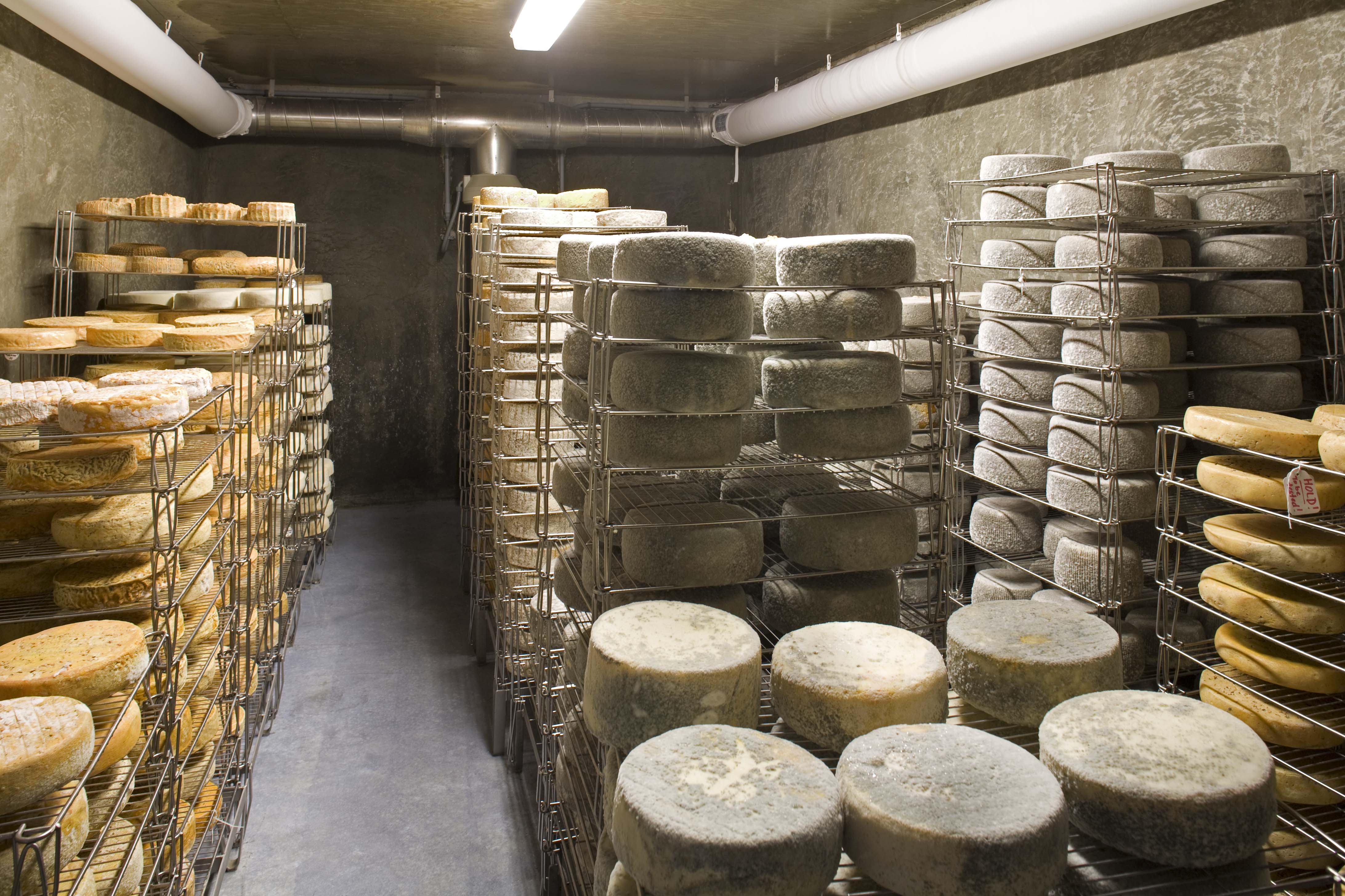 Fifth Town Cheese Factory | Lapointe Architects