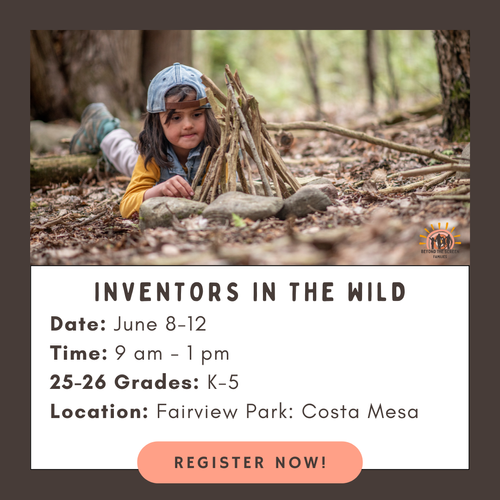 Summer Enrichment: Inventors in the Wild | Beyond The Screen