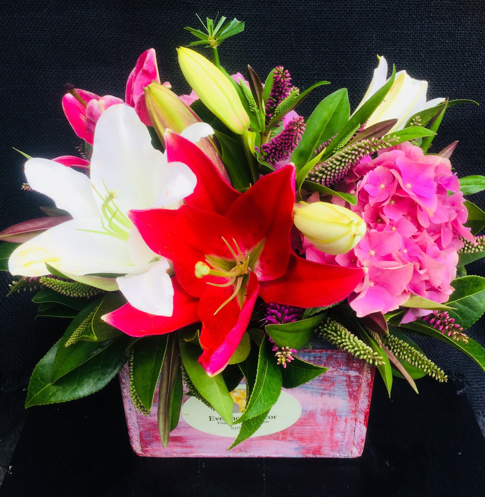 Boxed Flowers Gallery | Evermore Floral Designs | Richmond Nelson NZ