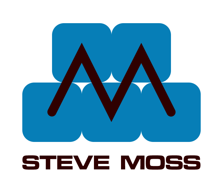 STEVE | Steve Moss - Game UI/UX