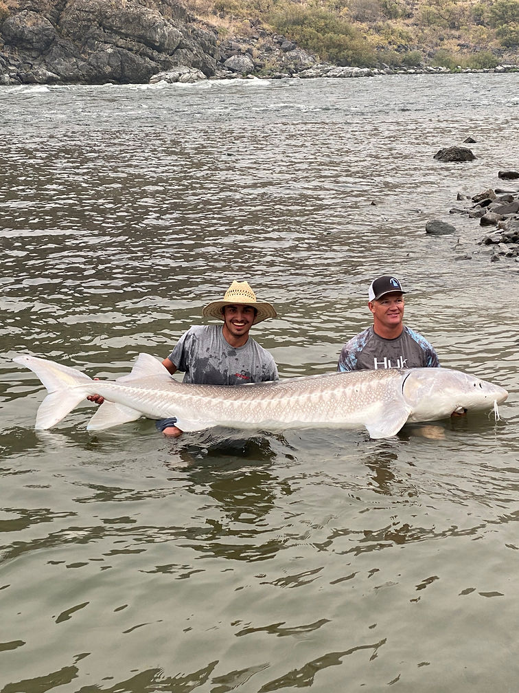 Giant Sturgeon Fishing Guides | Snake River Idaho