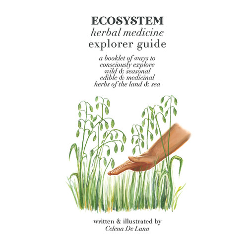 Ecosystem Explorer Guidebook -Digital + BONUS Calendar | folk herbalism