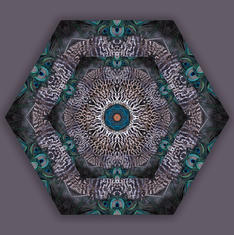 Kaleidoscopes of Nature | Naomi Stolow Photography (Wildlife & Nature)