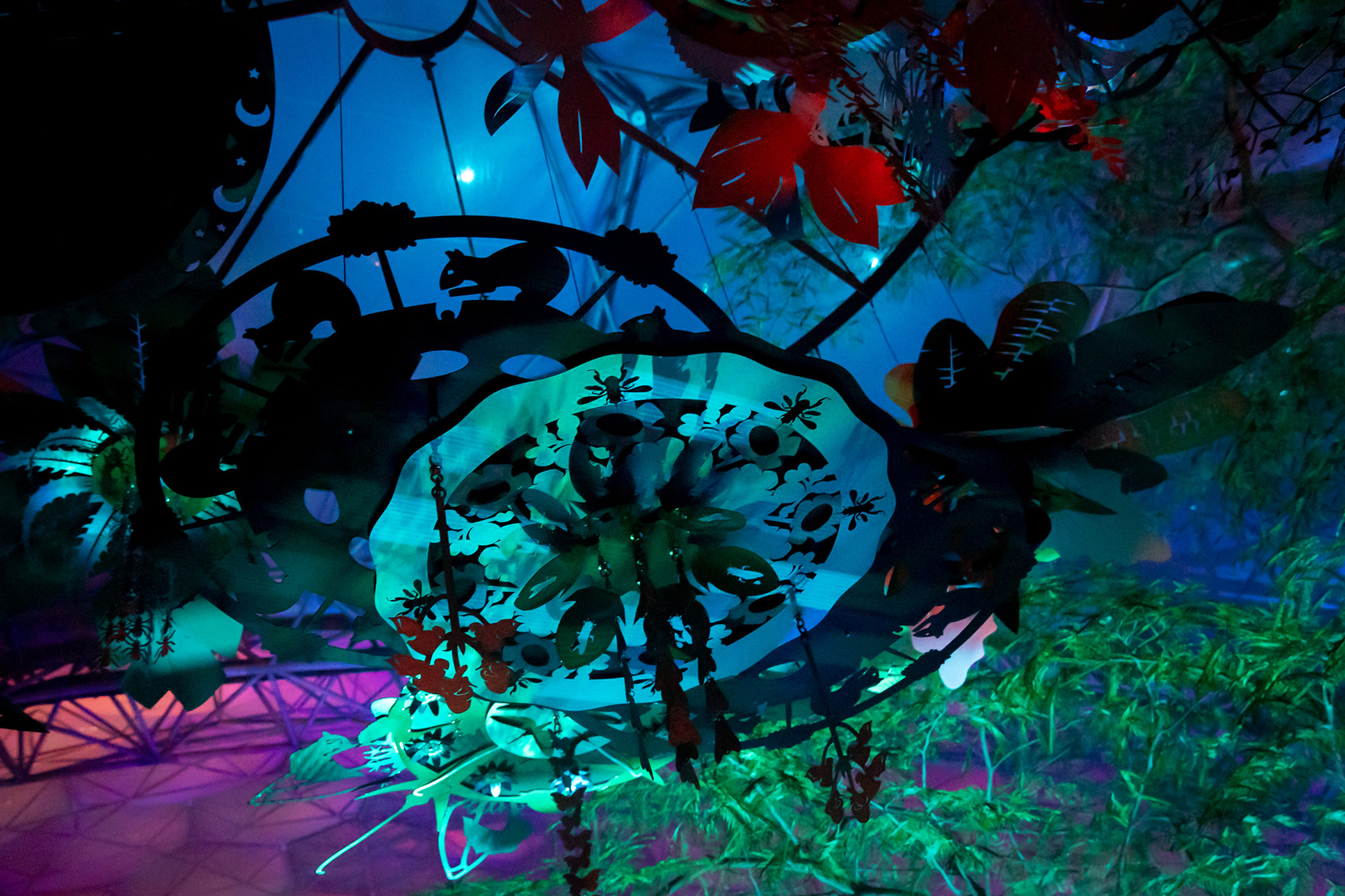 Eden Project Light Show | Naomi Stolow Photography (Wildlife & Nature)