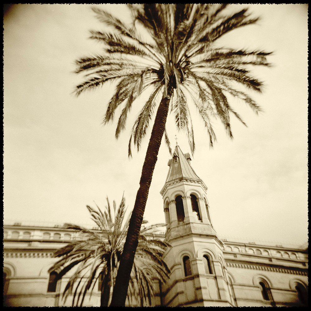 HOLGA | Photo Gallery | David Walker Photography