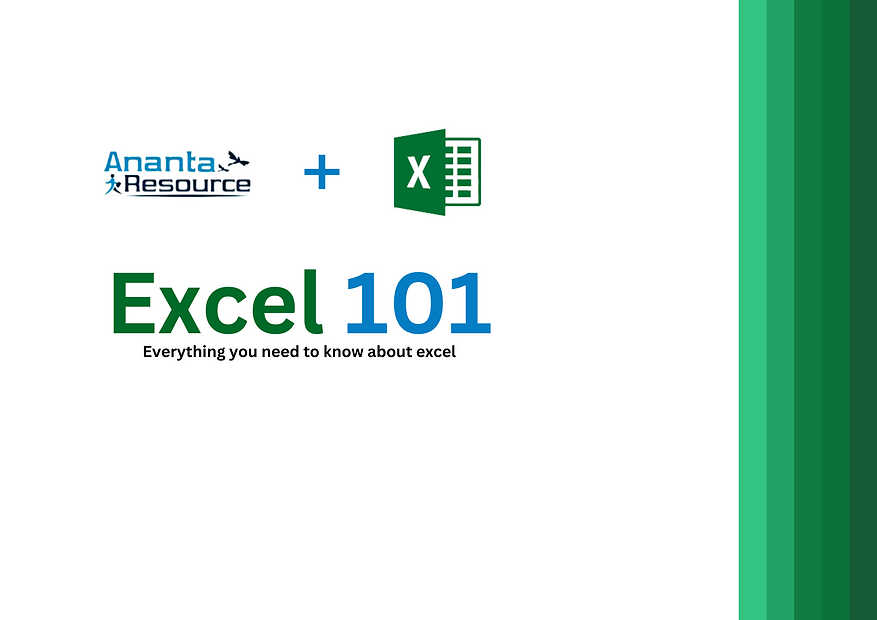 Excel 101| anantaservices