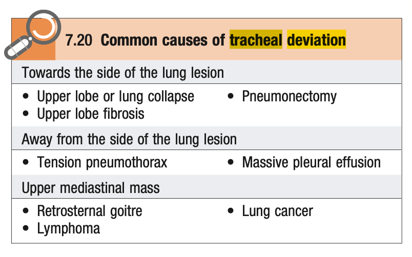 Trachea assessment