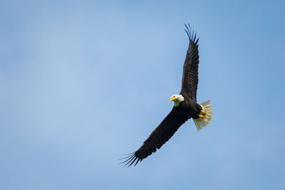 Michigan DEQ to EGLE – What Does It Mean?