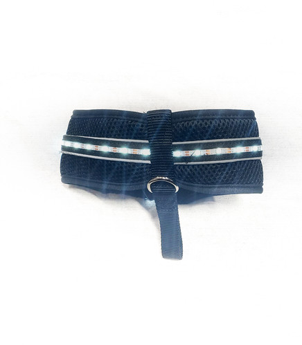 Remote Controlled LED Dog Collar | DC's LEDs'