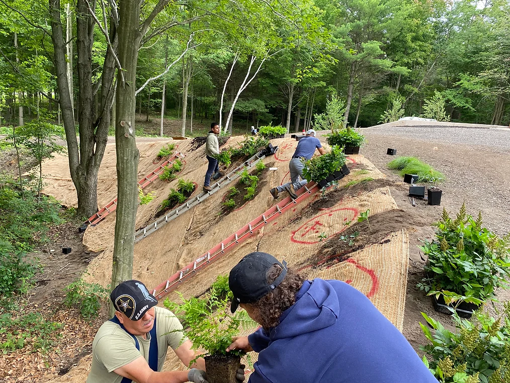 Stabilize Your Michigan Hillside with Lake Effect Garden's Expert ...