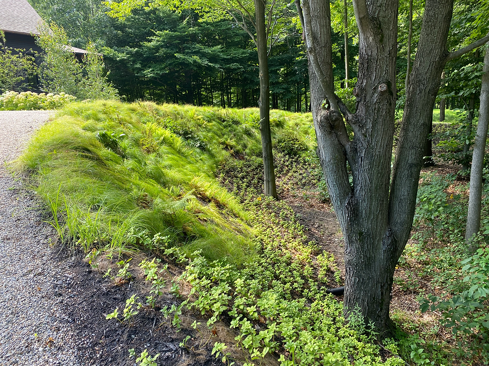 Stabilize Your Michigan Hillside with Lake Effect Garden's Expert ...