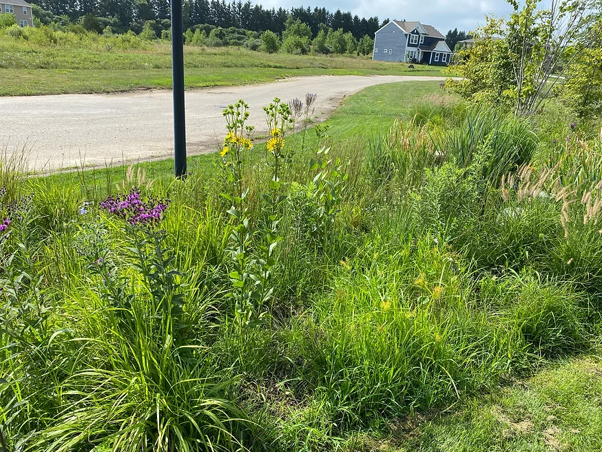 Green Lawns to Flowering Meadows, Lake Effect Garden helps you create a ...