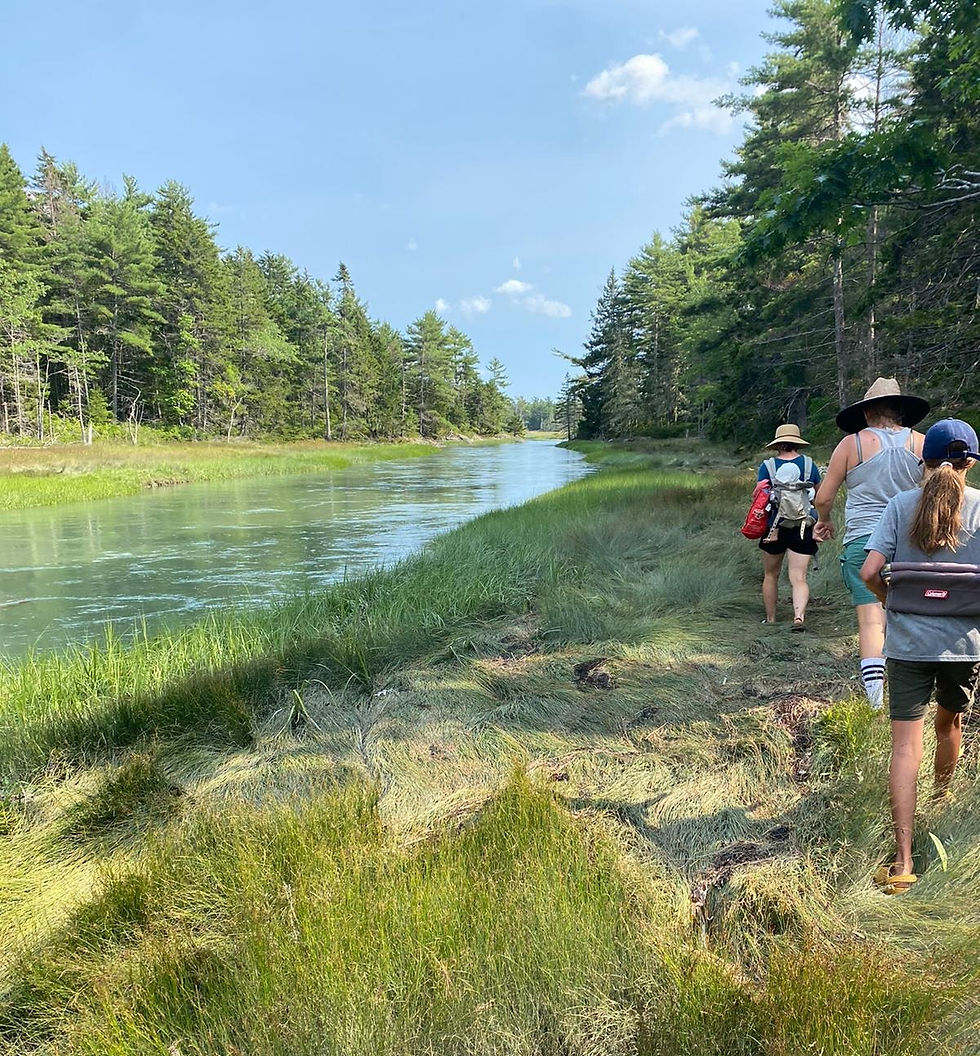 Niweskok | wabanaki food sovereignty