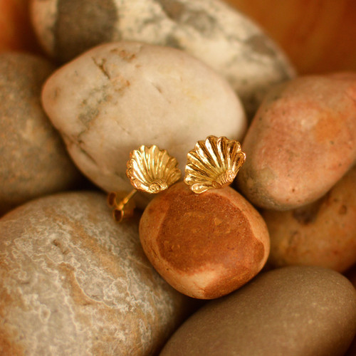 Shell Earrings | Lucy Stopes-Roe