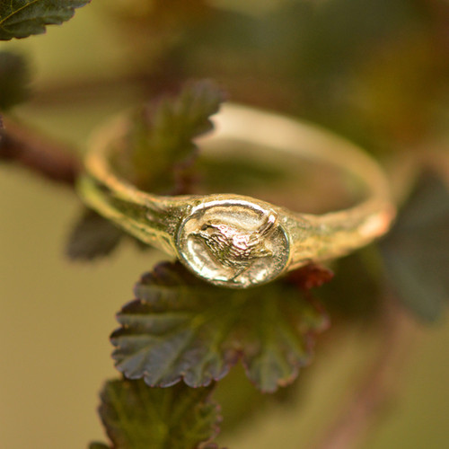 Solid Gold Wren Signet Ring | Lucy Stopes-Roe