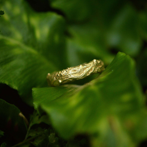 Solid Gold Ancient Oak Tree Ring Lucy Stopes Roe