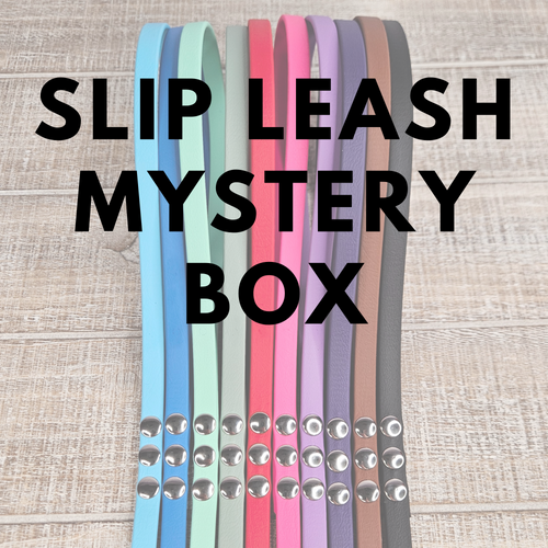 Mystery Box - Contains One Slip Leash - Choose Width & Length - Solid ...