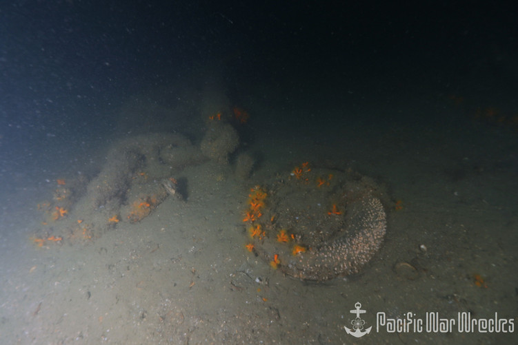陸奥 | 山口県柱島沖 | Mutsu | HashirajimaAnchoring | 沈船 写真 ダイビング | Pacific War ...