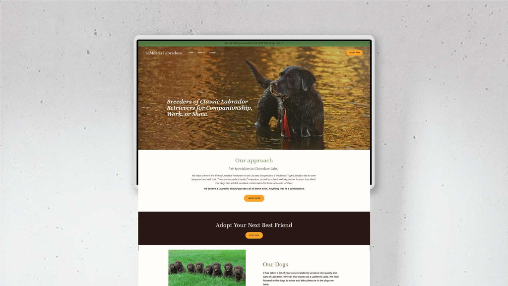 Website Design & Digital Marketing | Kat Fox Design | Canõn City, Colorado