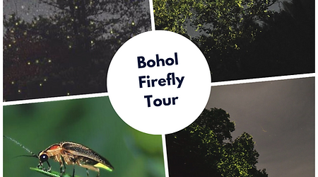 Bohol Firefly Boat Tour | Bohol Tours