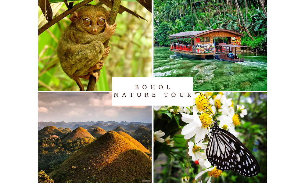 Bohol Transfers - Premium Tours Bohol