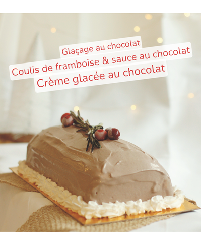 Chocolate Raspberry Log Ice Cream Cake | Wild Willy's Inc.