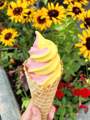 Homemade Ice Cream | Crèmerie Wild Willy's Inc.
