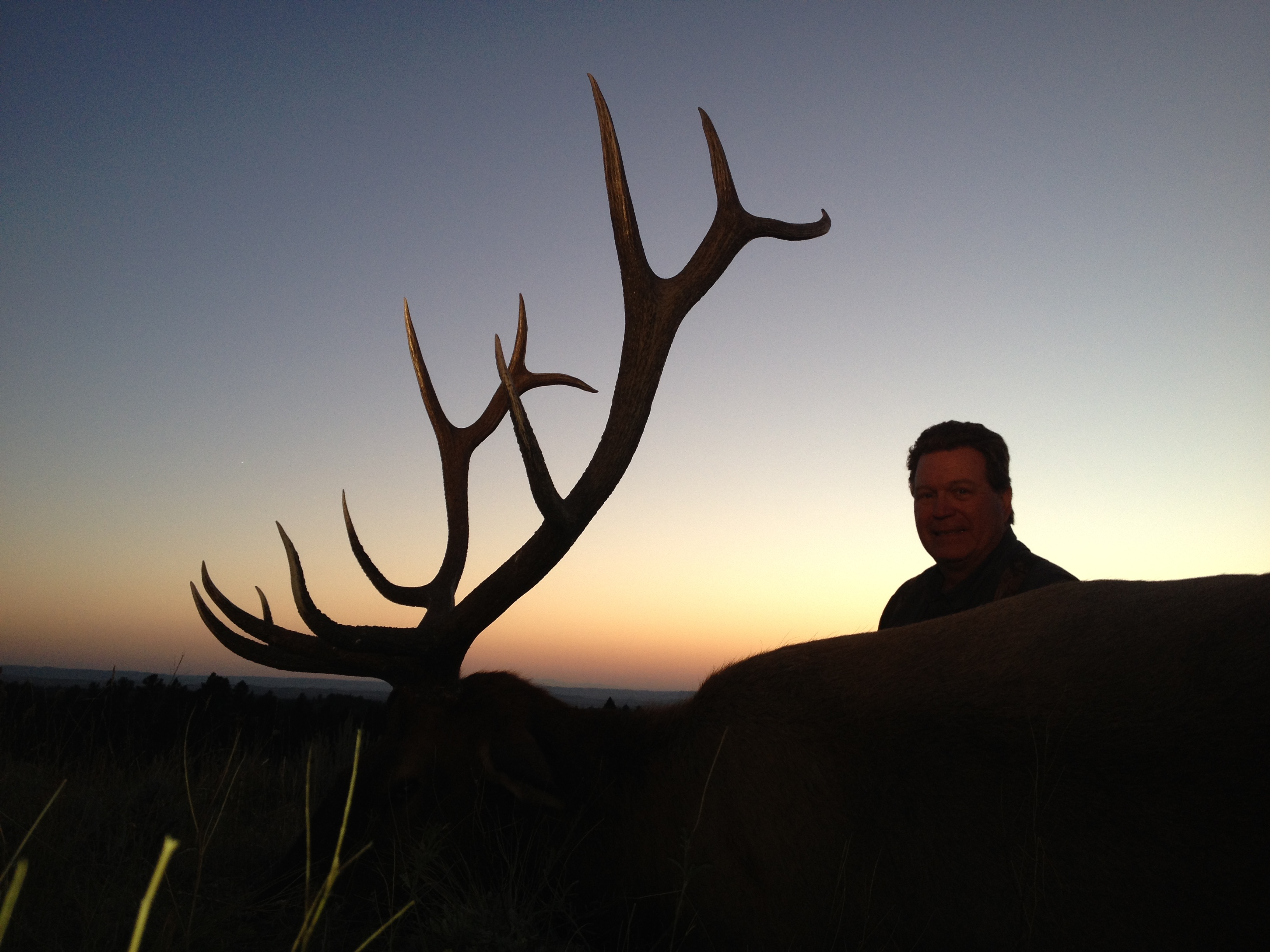 Elk Hunts | skylineoutfitters