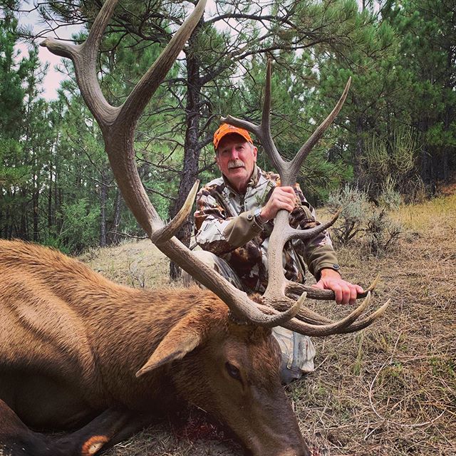 Elk Hunts | skylineoutfitters