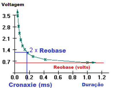 Tecnologia e Neurofisiologia da estimulação magnética transcraniana