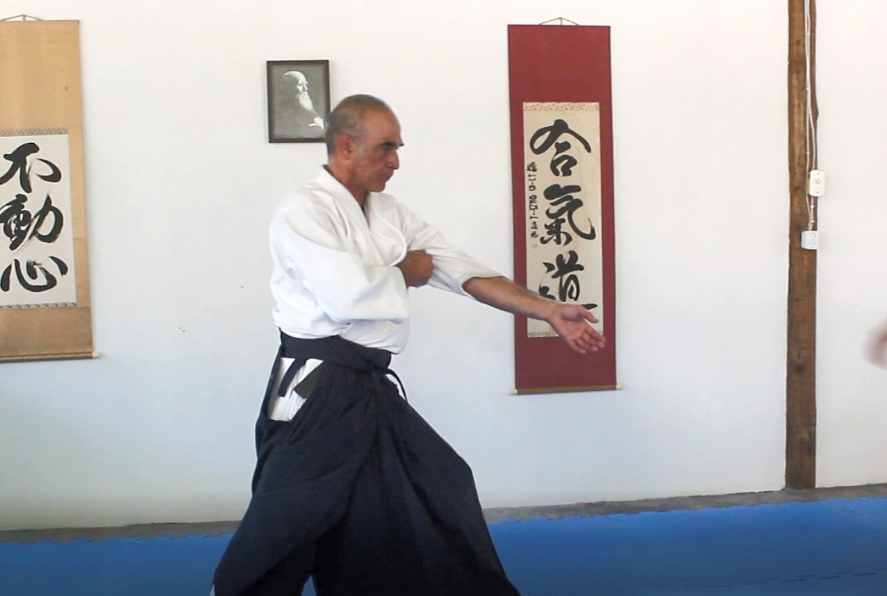 Sensei Luis Gentil Gonçalves - Círculo de Aikido | Descubra o que é ...