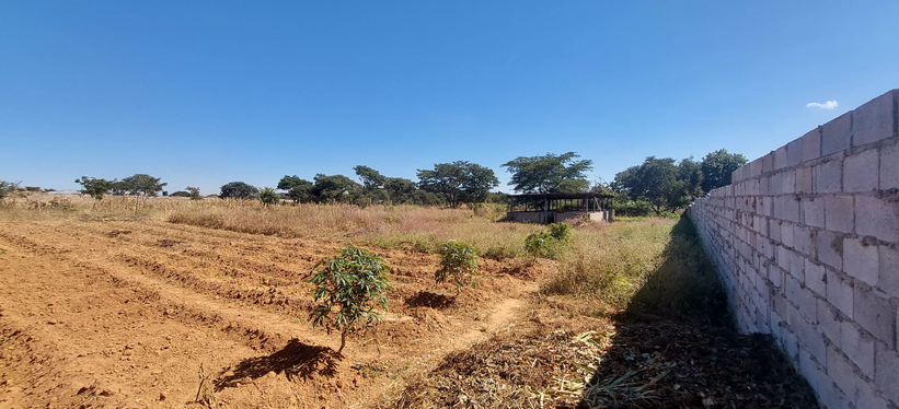 Ibex HIll, Lusaka