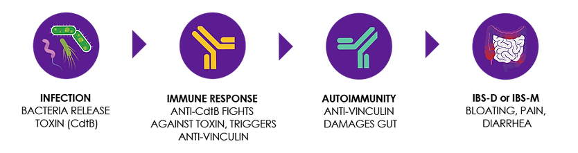 Post-Infectious IBS | Symptoms, Diagnosis & Treatment | IBS-Smart