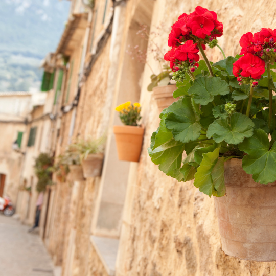 Visit Valldemossa, Mallorca