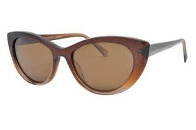 The Polaroid Lens, a Different Kind of Shade