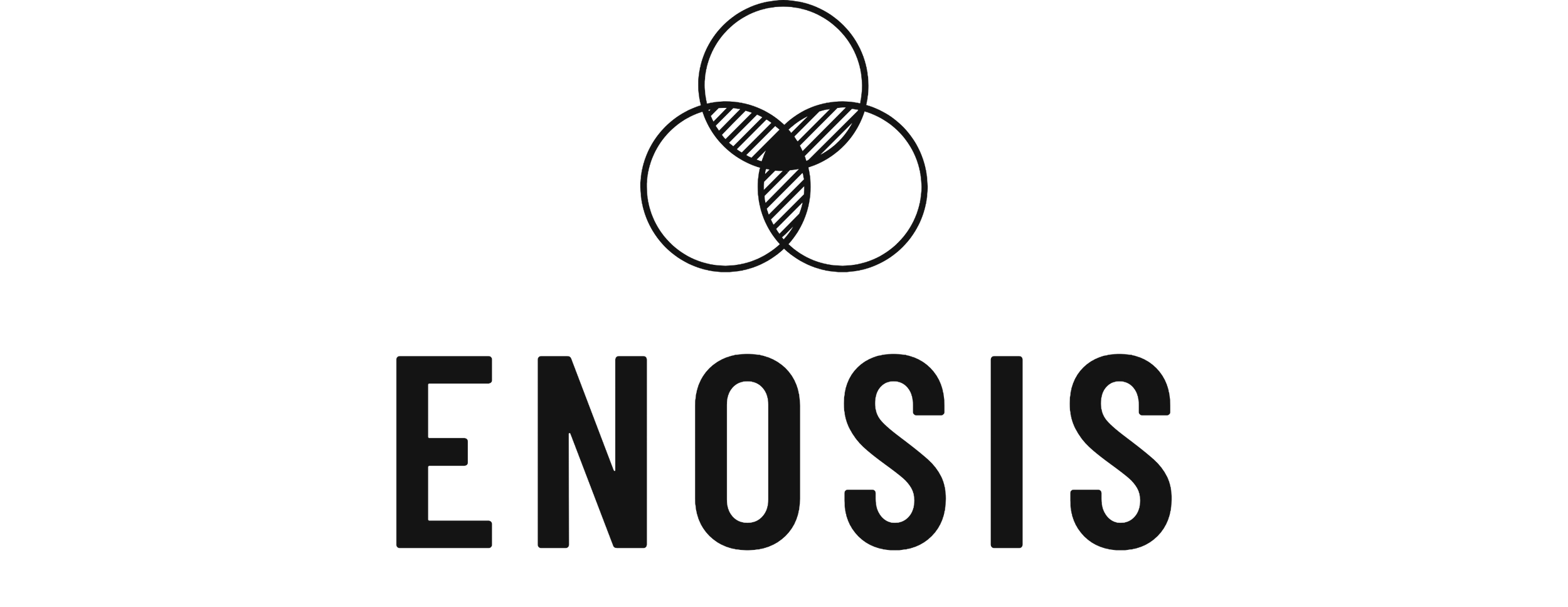 Enosis - Art, Leadership and Innovation