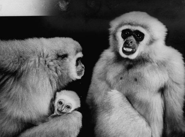 CALENDAR | Kyle Rowland Blues