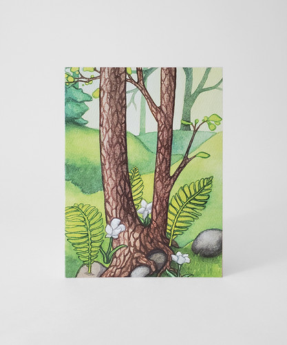 Greeting Cards - 4x5.5 | PaintedThistlePress
