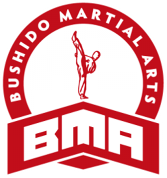 Bushido Martial Arts Ireland | Kickboxing & Fitness Training