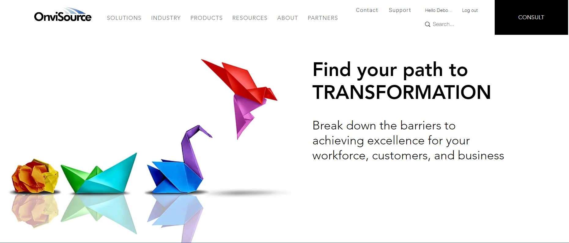 Intelligent Transformation Software & Cloud | OnviSource | Plano, TX