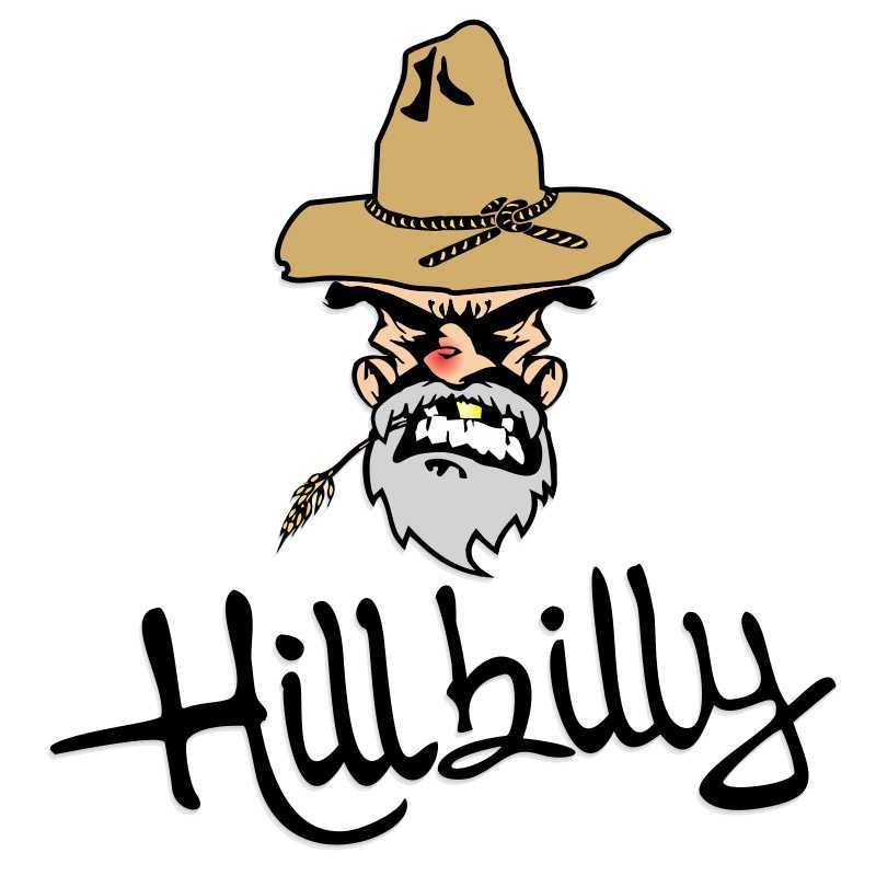 HILLBILLY COUNTRY BAND