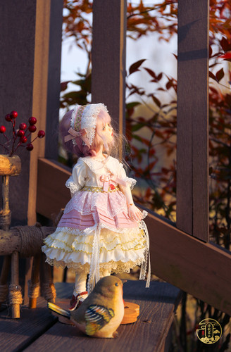 「Dollection」Peach Tea Party Outfit Only (YOSD / 1/6) | Dollection