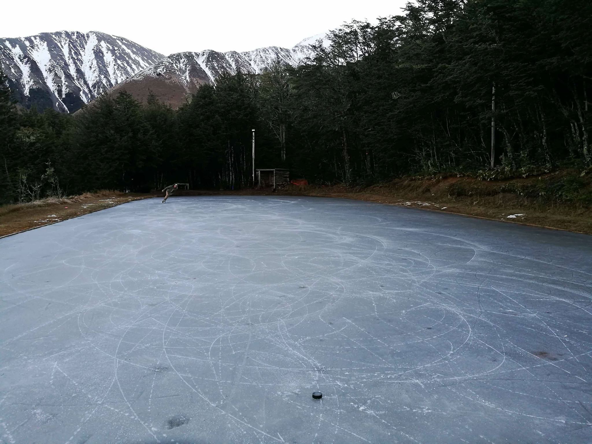 Forest Lodge | Gallery | New Zealand