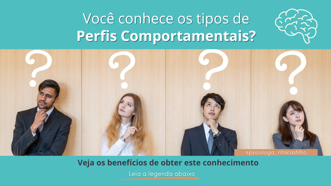 Você conhece os tipos de Perfis Comportamentais | Blog do Terappeuta ...
