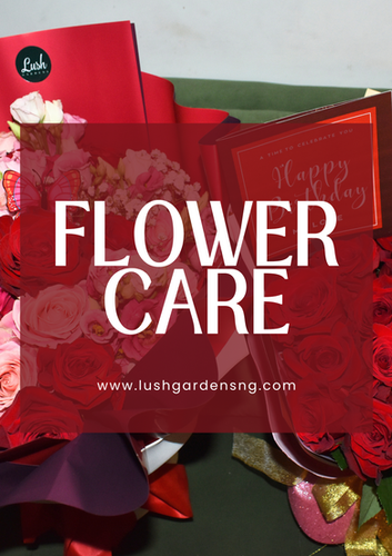 Flower Care Card PDF File (FREE) | Lush Gardens