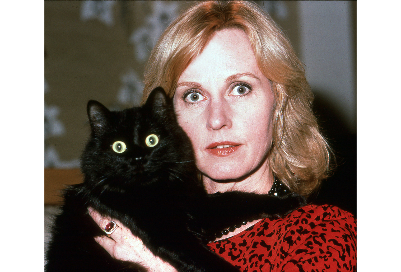 COMMISSIONS | Rose Hartman